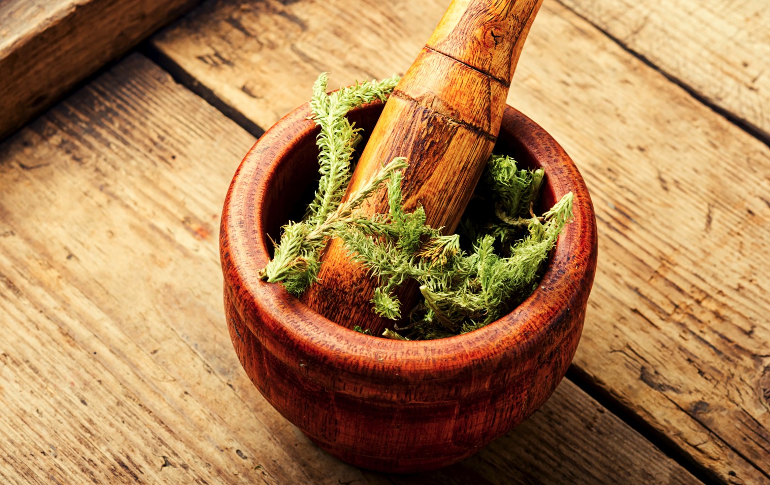 What Are The Best Natural Herbs For Muscle Growth? A Science Study